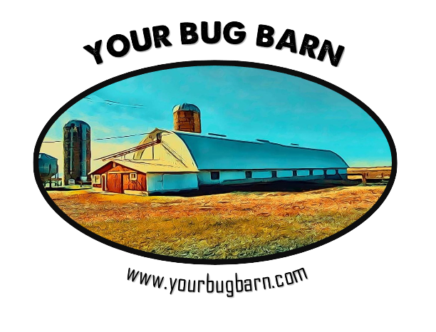 High-Quality MealWorms, SuperWorms, Beetles, Frass at Your Bug Barn